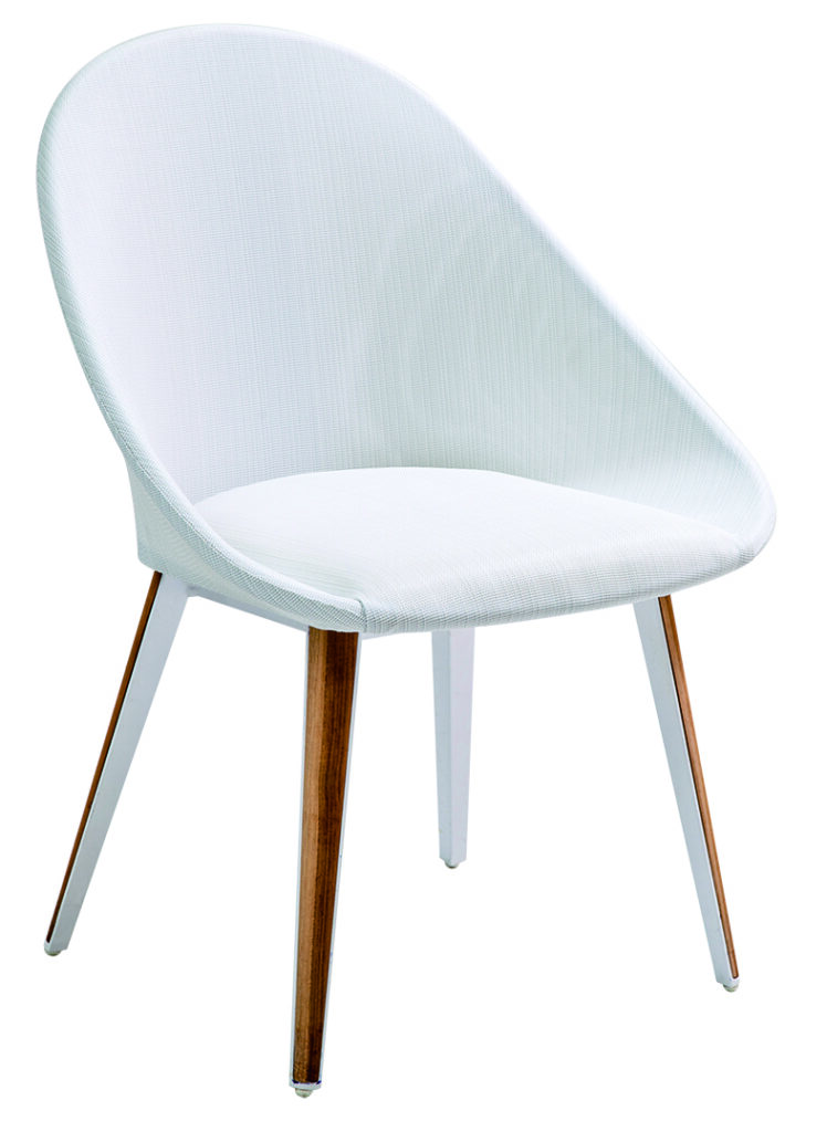 Dinosaur Egg Arm Chair – Mountain House Furniture